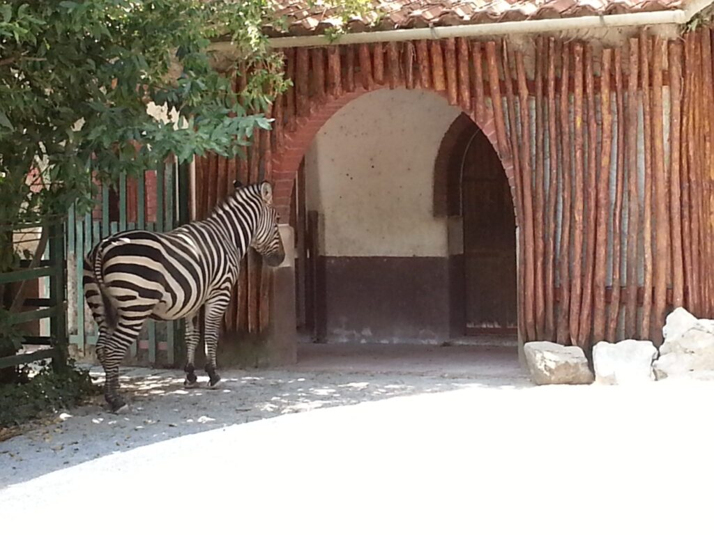 Lo Zoo di Pistoia | 101giteinliguria.it