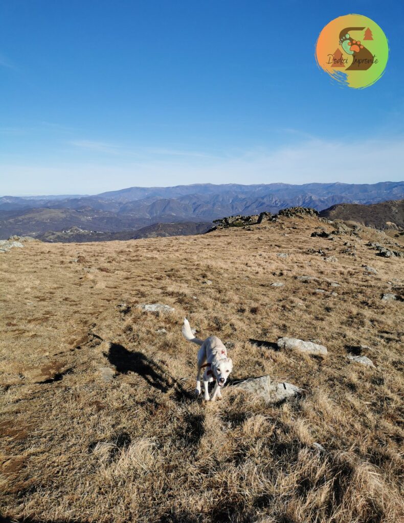 Il Monte delle Figne | 101giteinliguria.it